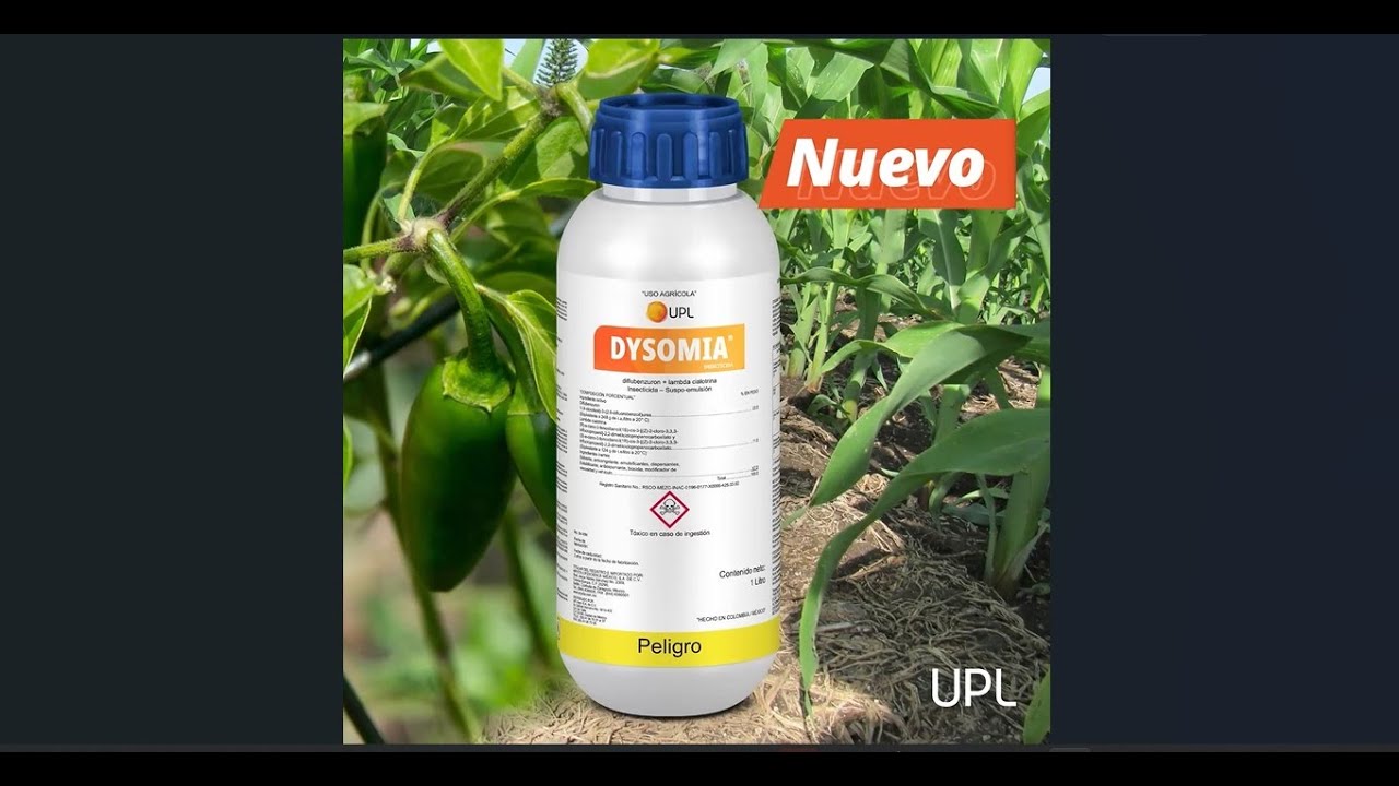 Recomendaciones UPL | Dysomia® Nuevo Insecticida para gusanos plaga de ...