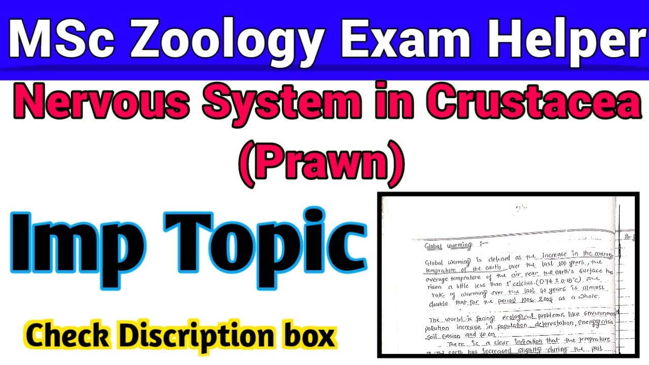 Nervous System in Crustacea (Prawn) M.Sc. Zoology notes in Hindi - YouTube