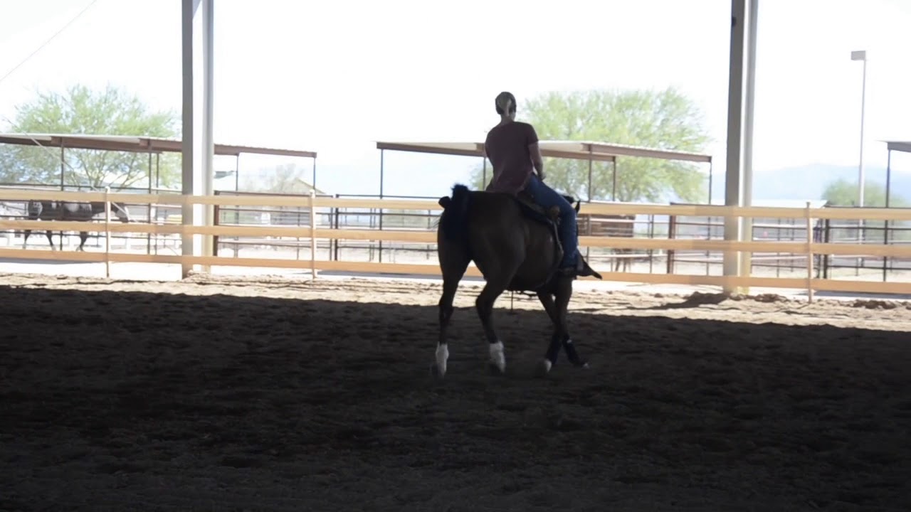 Paige Neufeld riding Navaho Joe BPF - YouTube