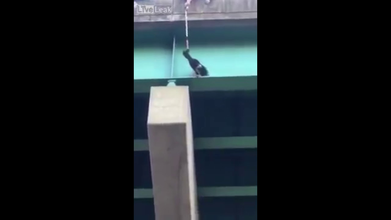 Sully goat groan - YouTube