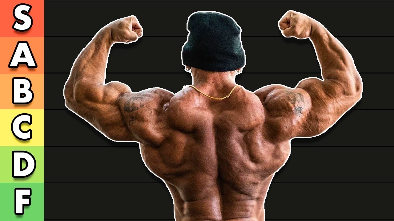 The ULTIMATE Back Exercise Tier List (S to F RANKED) - YouTube