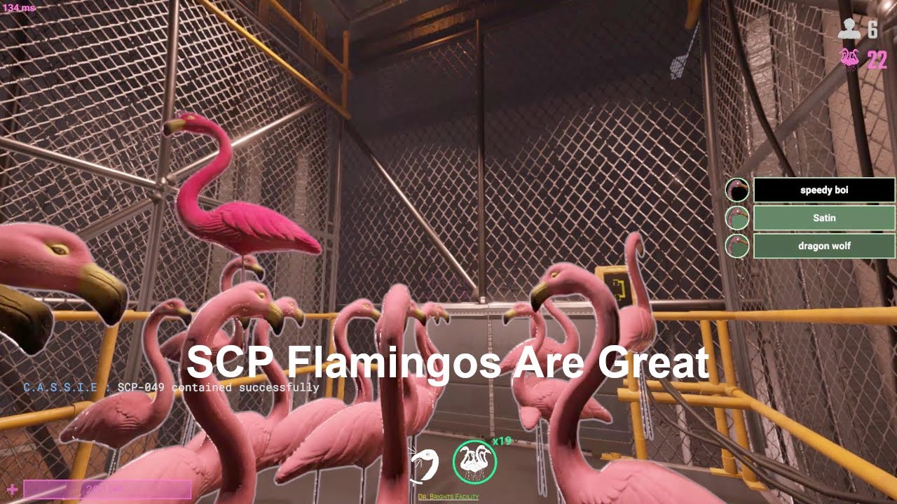SCP Flamingos Are Great - YouTube