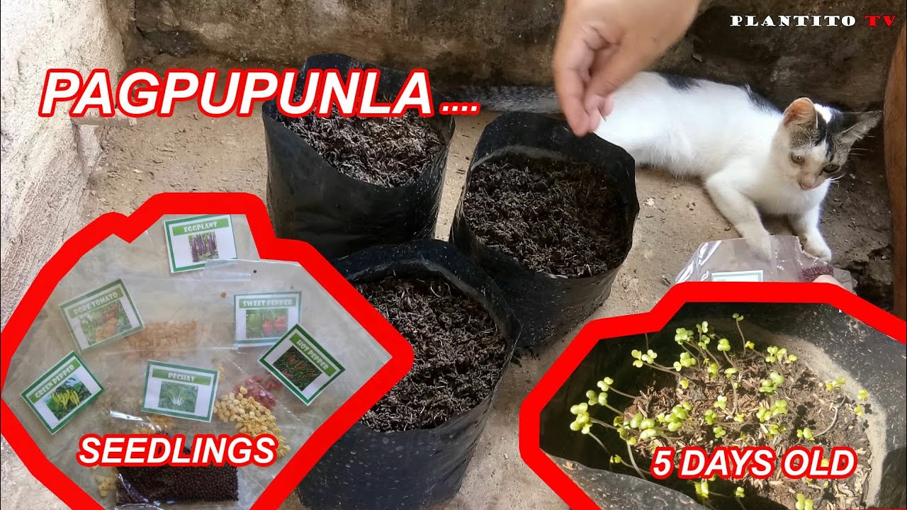EP02\ PAGPUPUNLA - YouTube