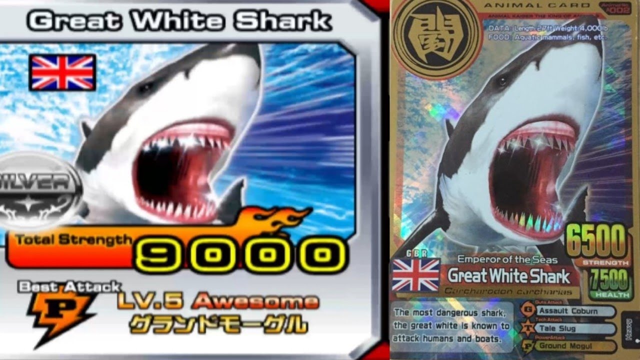 Great White Shark #animalkaiser - YouTube