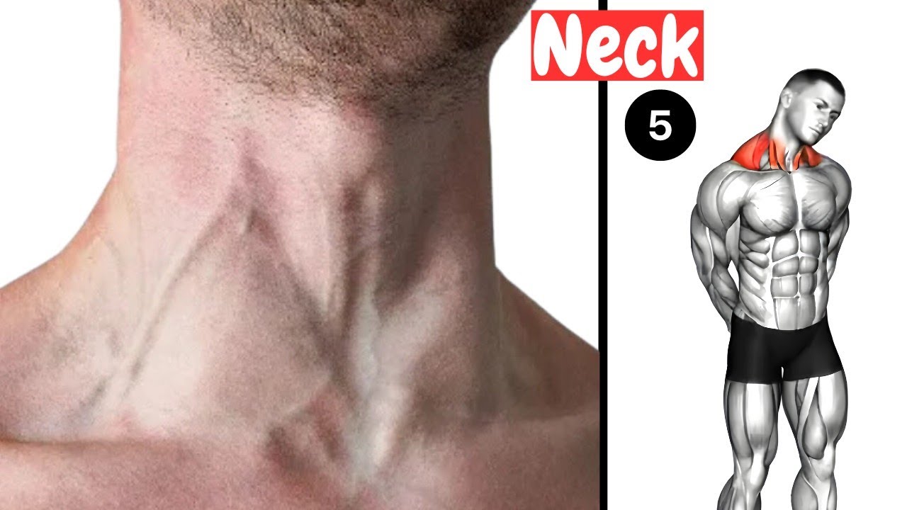 5 EPIC Neck Exercises for BULK & STRENGTH (Train Like a Fighter!) - YouTube