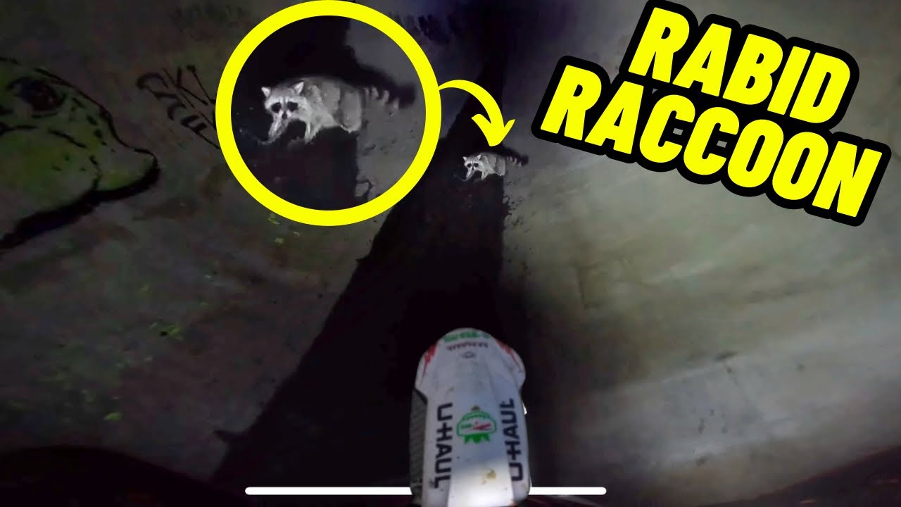 RIDING IN THE SCARIEST TUNNEL EVER! - YouTube