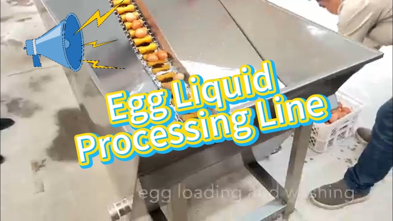 Egg liquid process A Guide to Liquid Egg Production - YouTube
