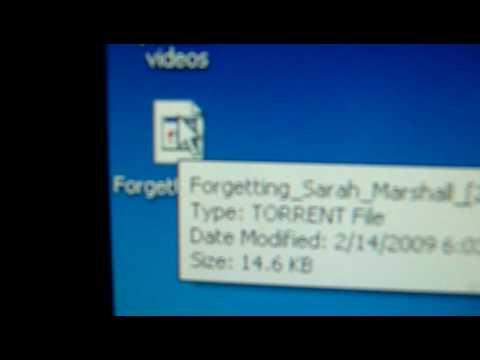 How To Use Bit Torrent - YouTube