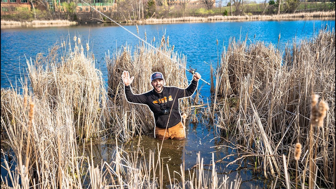 SAVING a Fish from DEATH while Pond Fishing (Rescue Mission)