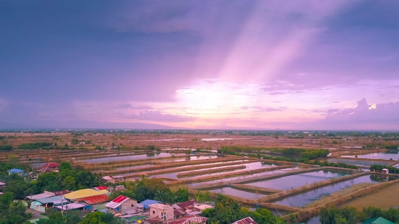 Areal - Bonuan Bangus Fish Farms 2017 - YouTube