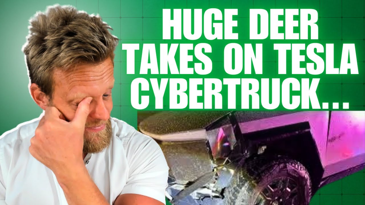 Tesla Cybertruck Survives 75 MPH Deer collision with barely any damage ...