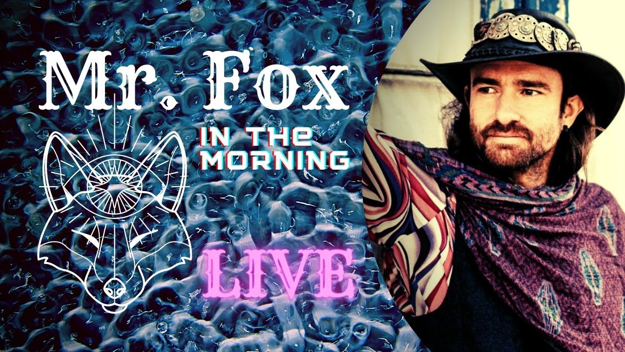 March 13, Mr Fox in the morning - YouTube