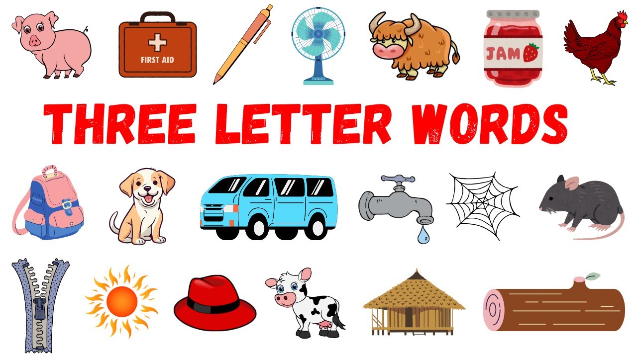 Three Letter Words | 3 letter words for Kids Education Video | 3 Letter ...