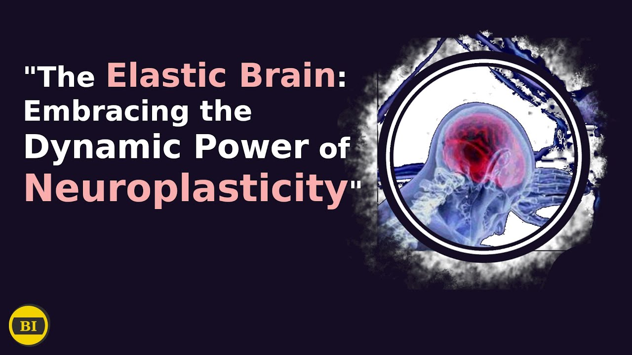 The Elastic Brain : Embracing the Dynamic Power of Neuroplasticity ...