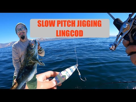 CATCHING LINGCOD ON SLOW PITCH JIG IN CALIFORNIA - YouTube