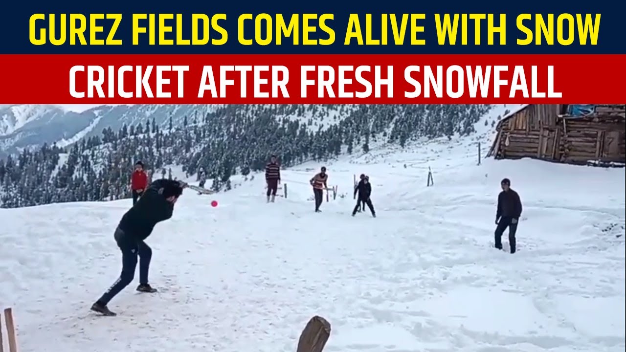 Gurez fields comes alive with snow cricket after fresh snowfall - YouTube
