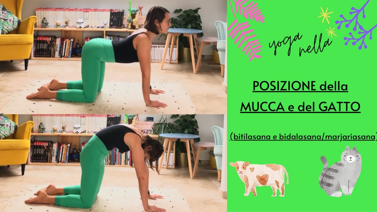 Come fare la posizione della mucca e del gatto (bitilasana e bidalasana ...