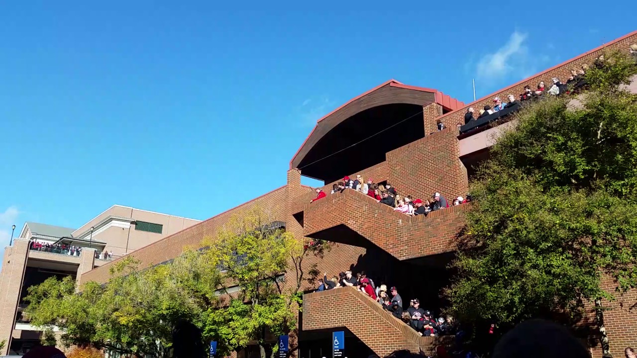 Georgia Bulldogs Dawg Walk - YouTube
