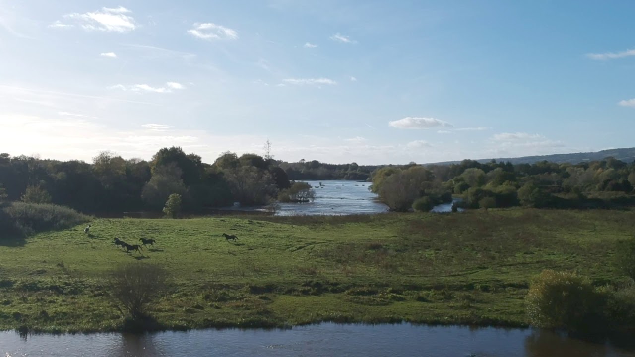 Lower Corbally On The Shannon Co Clare - YouTube