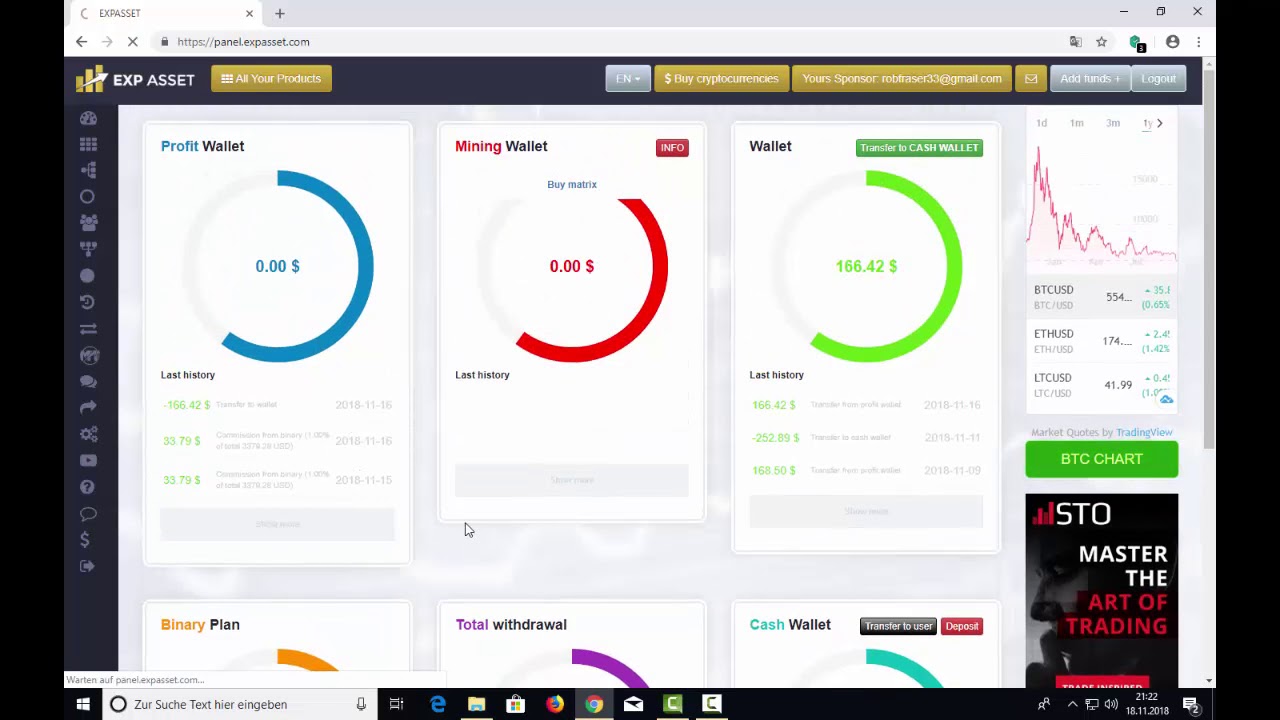 EXP Asset my Review after 11months - YouTube