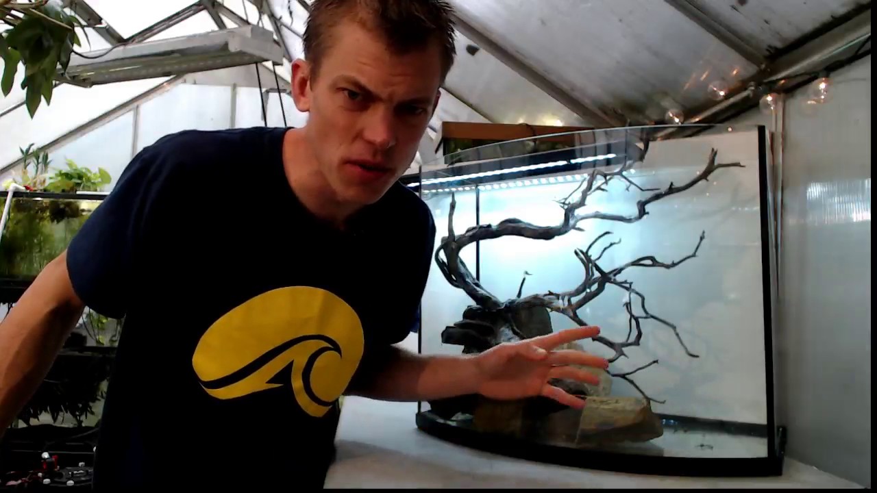 Dustin's Fish Tanks LIVE AQUASCAPING Fluval B26 - YouTube