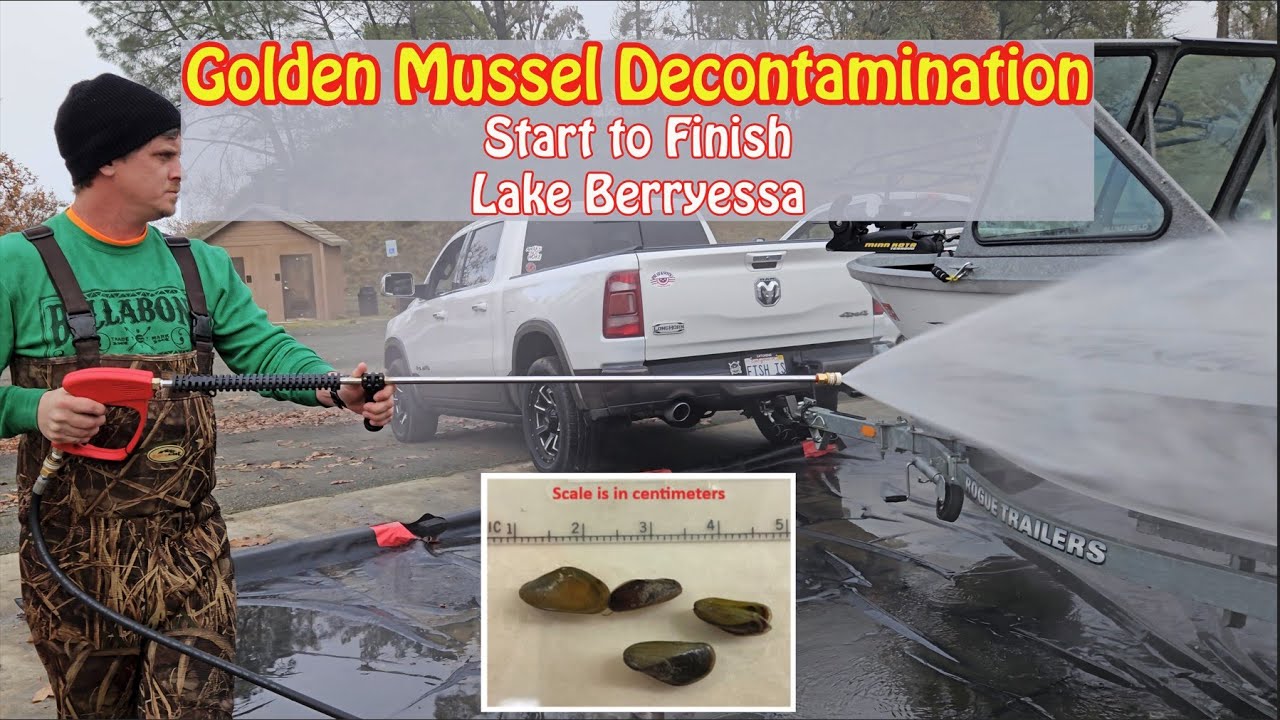 Decontamination Start-To-Finish: Golden Mussel Cleaning at Berryessa ...