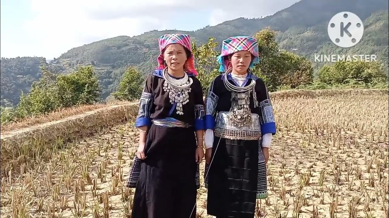 cheev lis thiab nkauj moob yaj suab khwv txhiaj tawm tsiab 10/1/2024 - YouTube