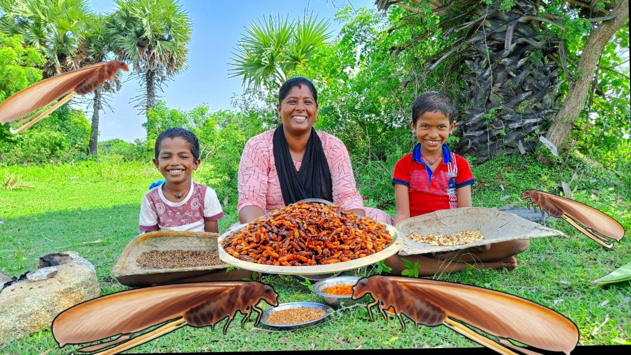 ஈசல்🦗🦗 சாப்டுரிக்கிங்களா வாங்க சாப்பிடலாம்/Eating Winged Termites/Eesal ...