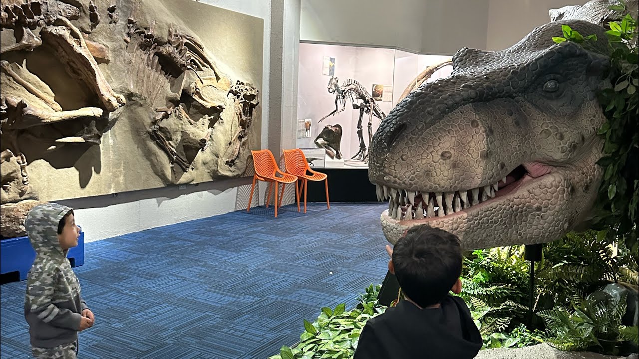 Roar | Dinosaur Museum | video for kids - YouTube