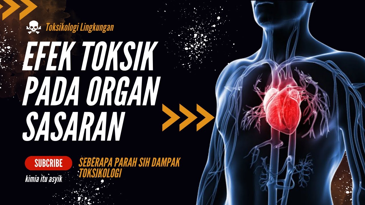 Seberapa Dahsyat Efek Toksik Bagi Manusia - YouTube