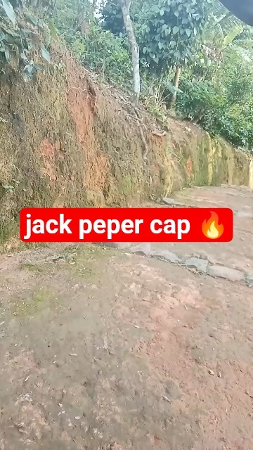 jack peper cap #subscribe #subscribers #world #india #best#indian # ...