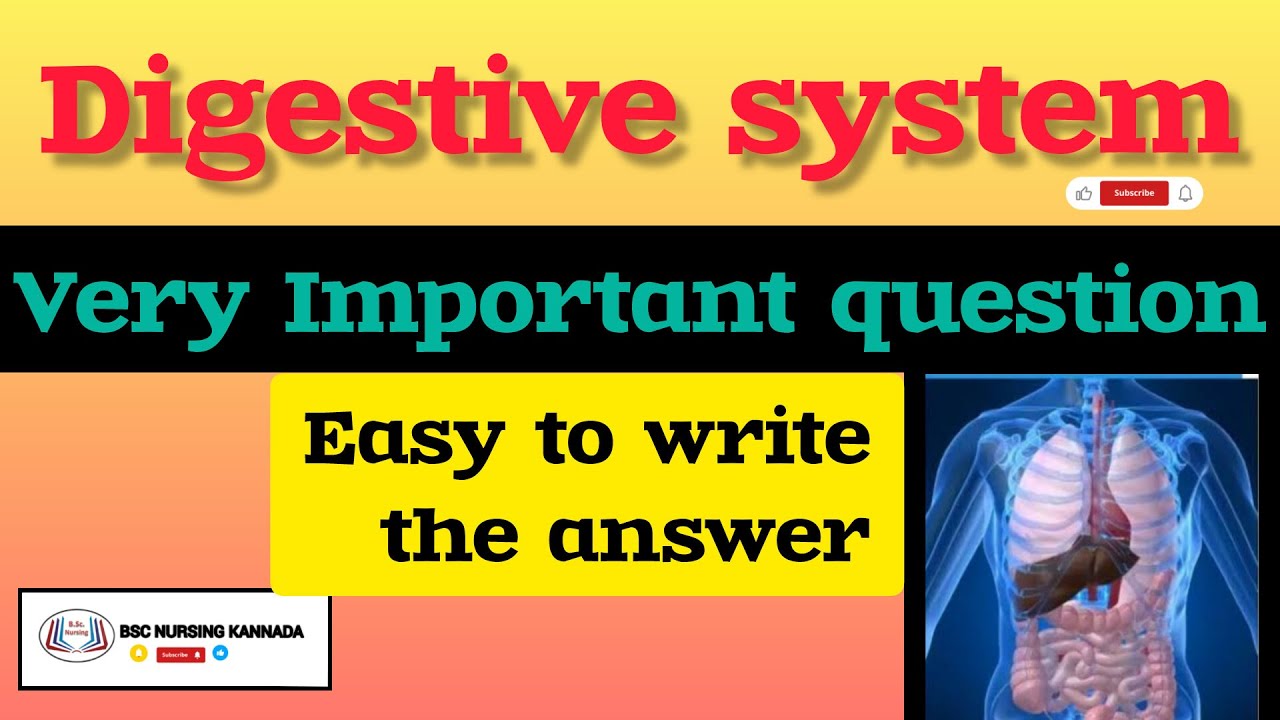 𝘿𝙞𝙜𝙚𝙨𝙩𝙞𝙫𝙚 𝙨𝙮𝙨𝙩𝙚𝙢 𝙄𝙢𝙥𝙤𝙧𝙩𝙖𝙣𝙩 𝙦𝙪𝙚𝙨𝙩𝙞𝙤𝙣 - YouTube