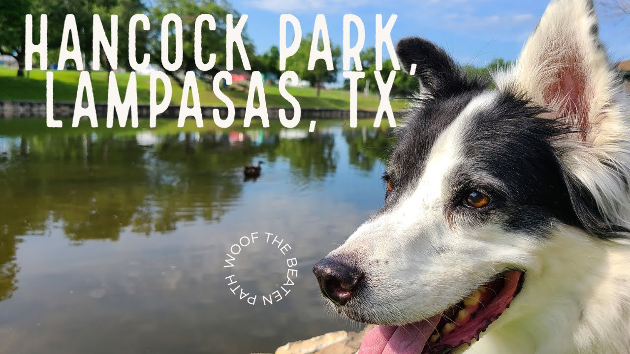 Austin Area Dog-Friendly Day Trips - Lampasas - YouTube