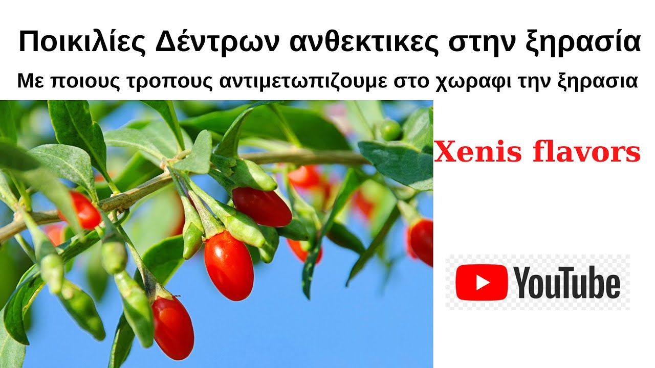 Είδη Δενδρων ανθεκτικα στην ξηρασια! Πως χειριζόμαστε το χωραφι για να ...