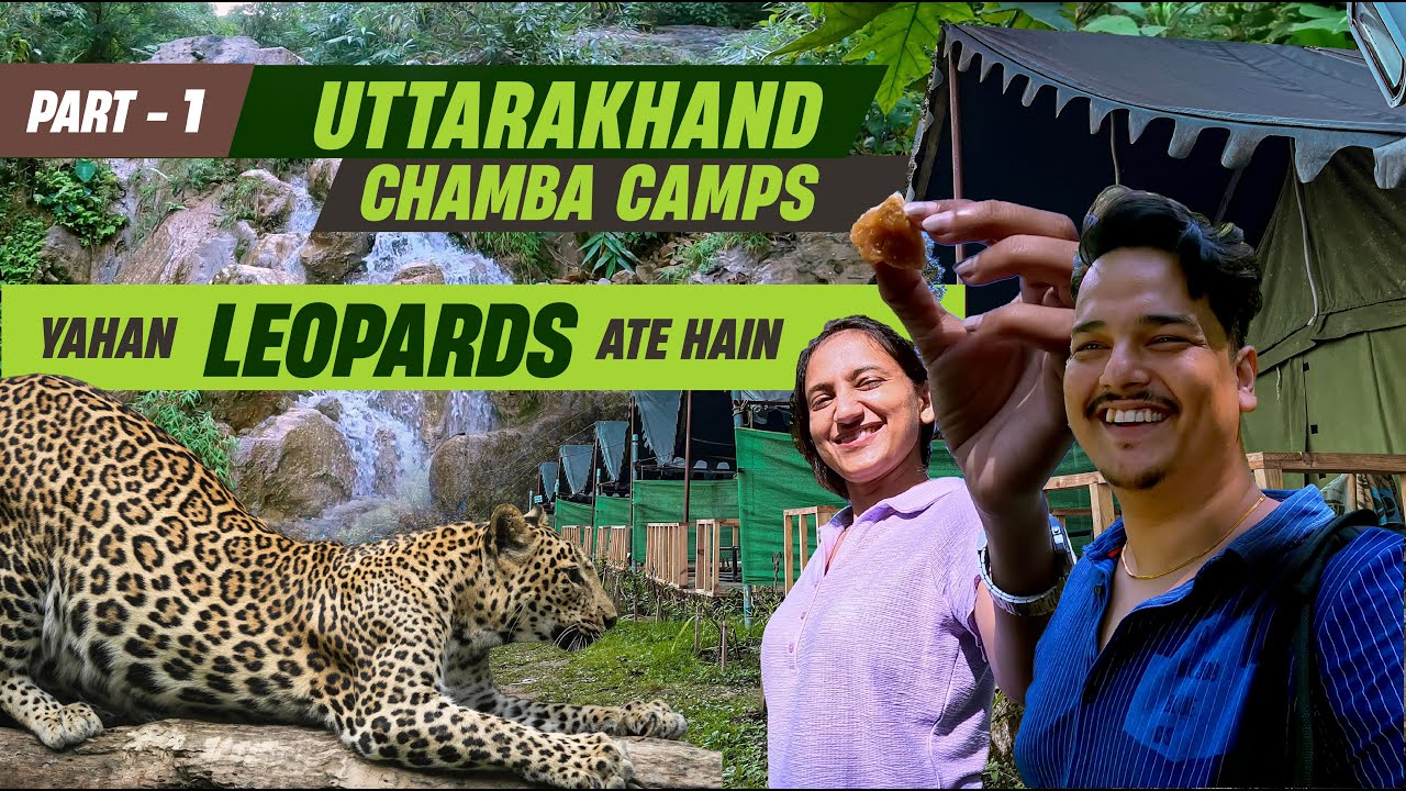 BEWARE: LEOPARDS in CHAMBA, Uttarakhand's Camps | ALTITUDE CAMPS - YouTube
