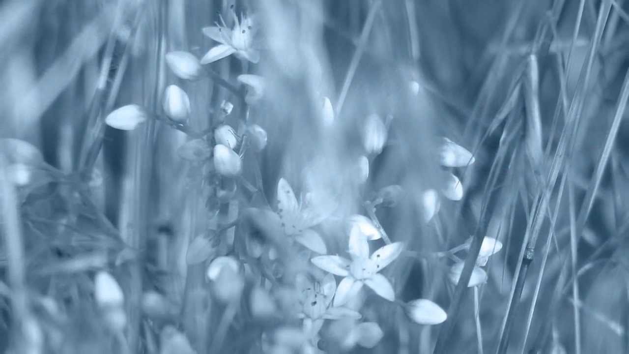 Moody Manitoba Morning with art by John Poon - YouTube