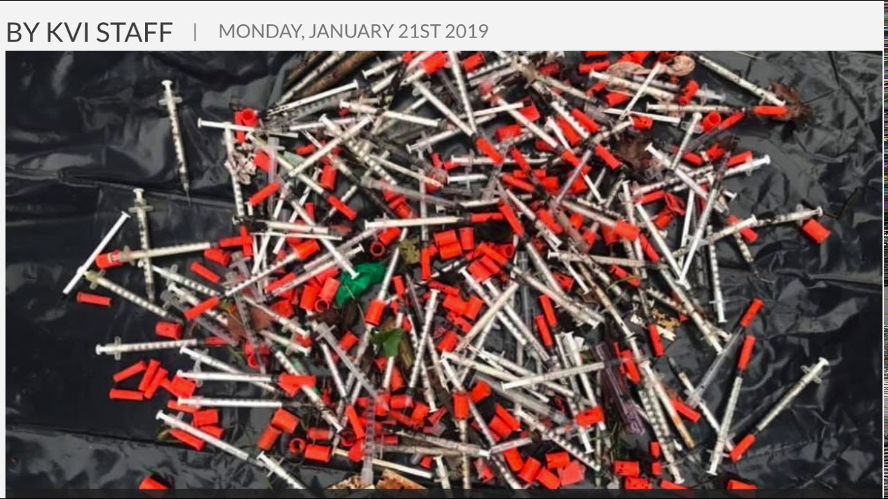 KVI 570 AM Kirby Wilbur's Powerful Recap of the Licton Springs Clean Up ...
