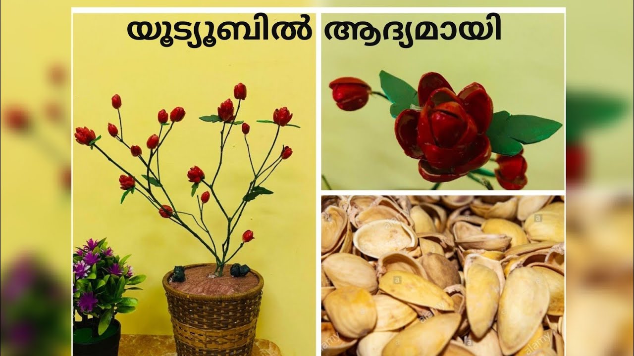 DIY pista shell craft || How to make flower plant with pista shell ...