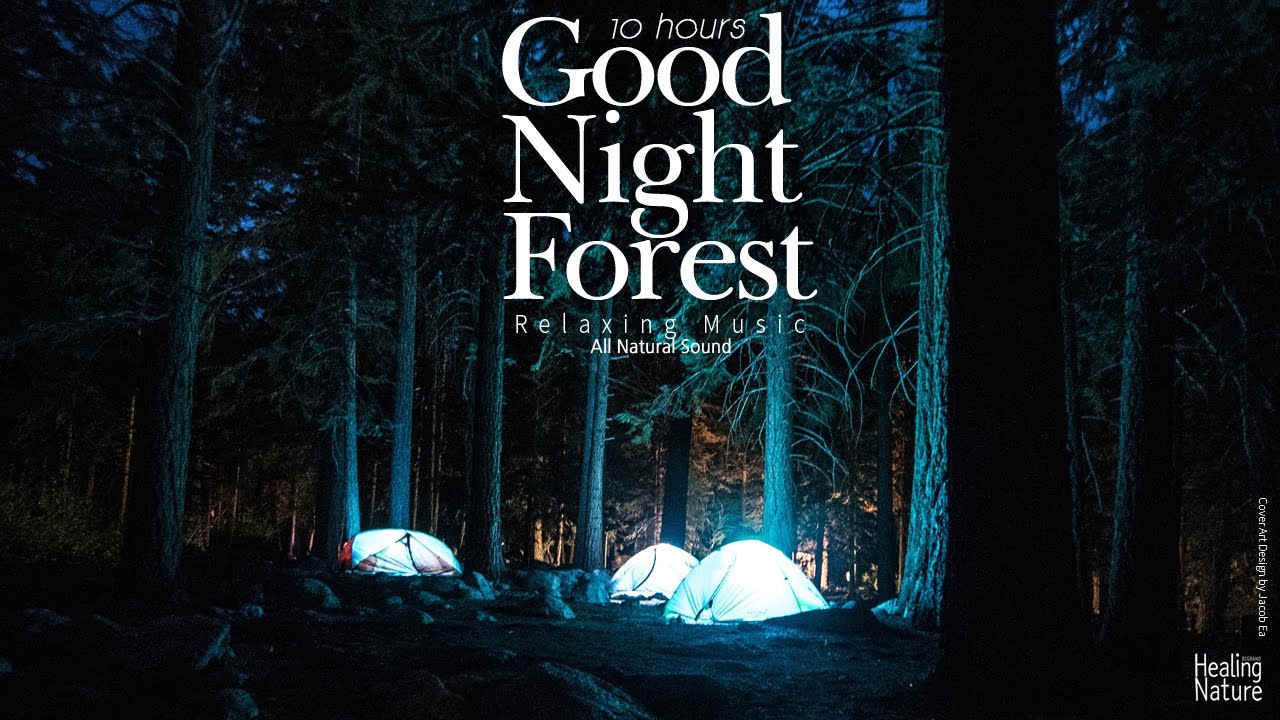 Night time Forest Sounds 10 Hours - Frog ,Cricket Sound for Relaxation ...