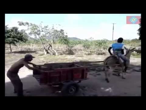 Jegue não da ré !!!  KKKK