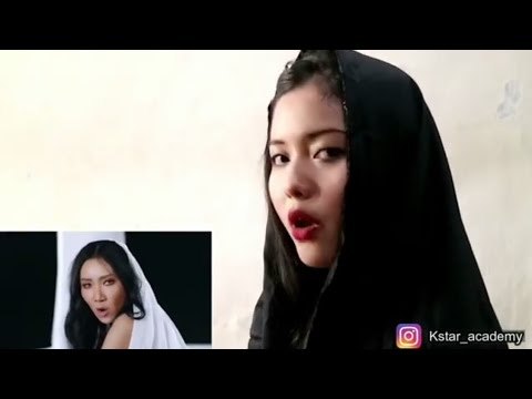Hwasa (Mamamoo) - 멍청이(TWIT) MV Parody