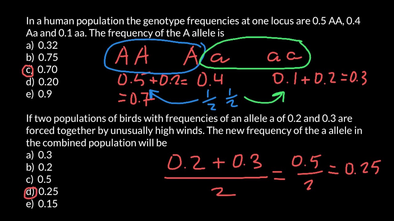 How to Find Allele Frequency - YouTube