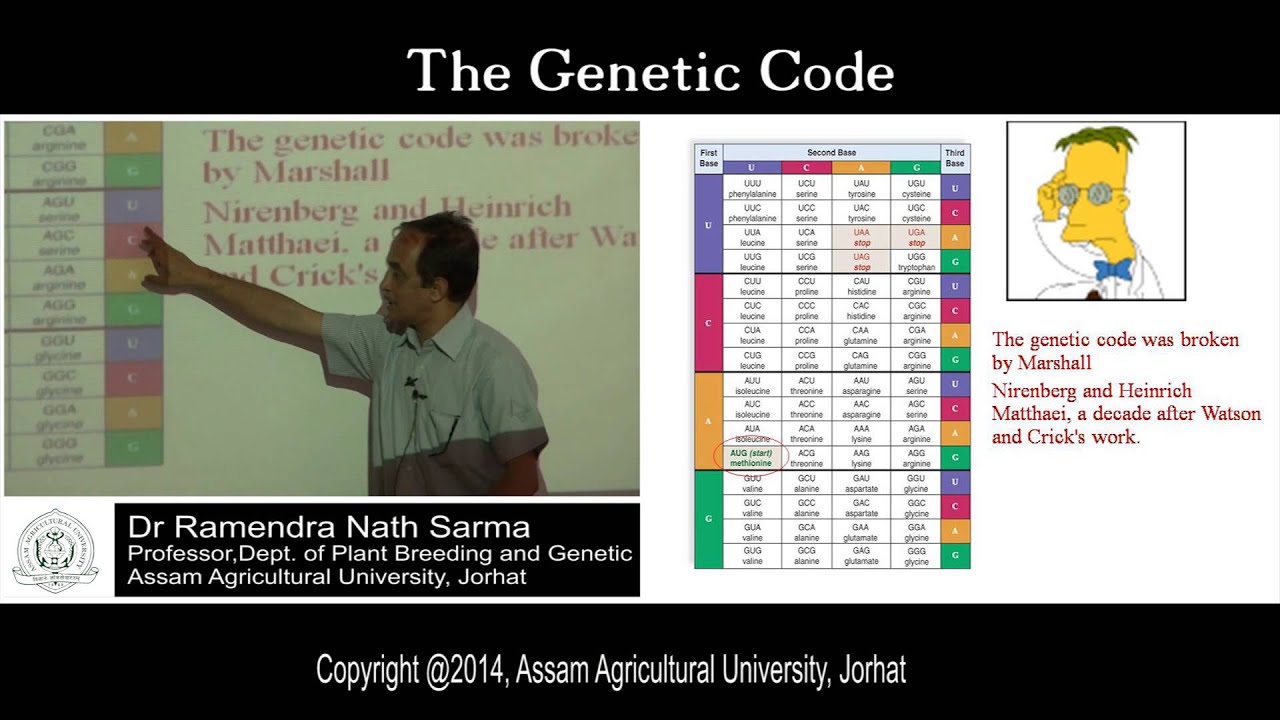 Genetic Code (Plant Breeding) - YouTube