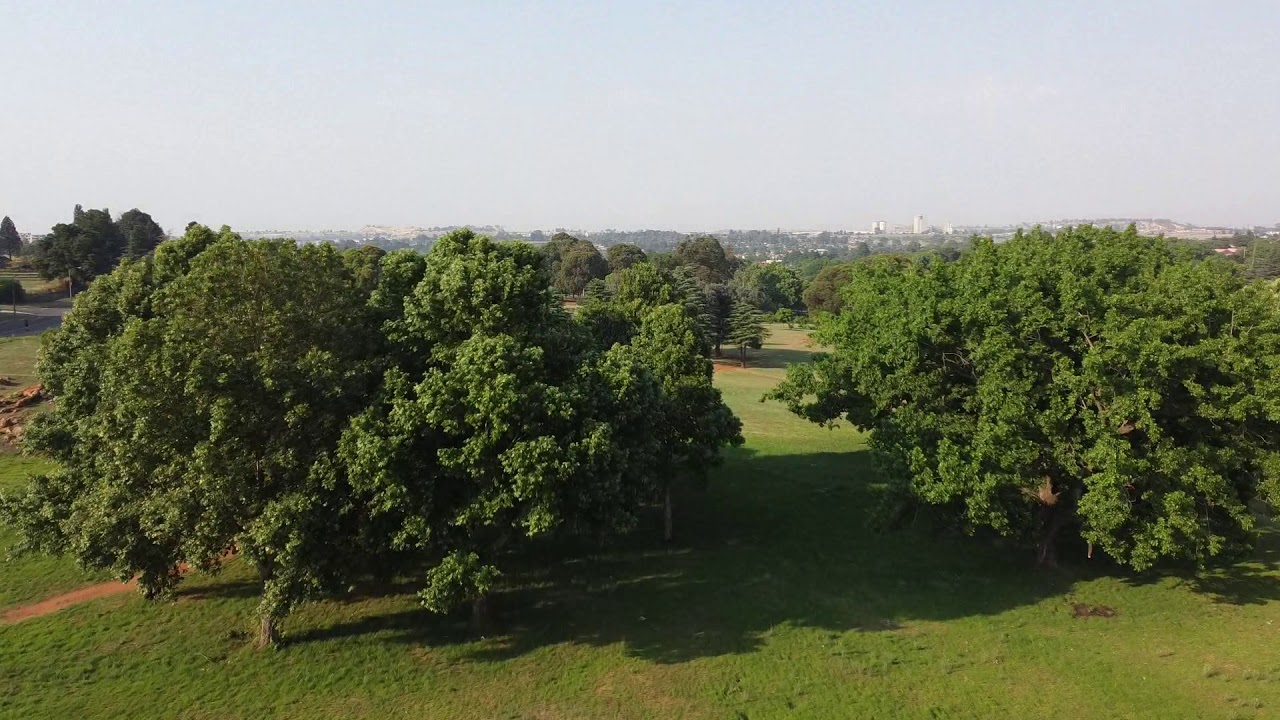 Len Rutter Park Florida from high above DJI Mavic Mini - YouTube