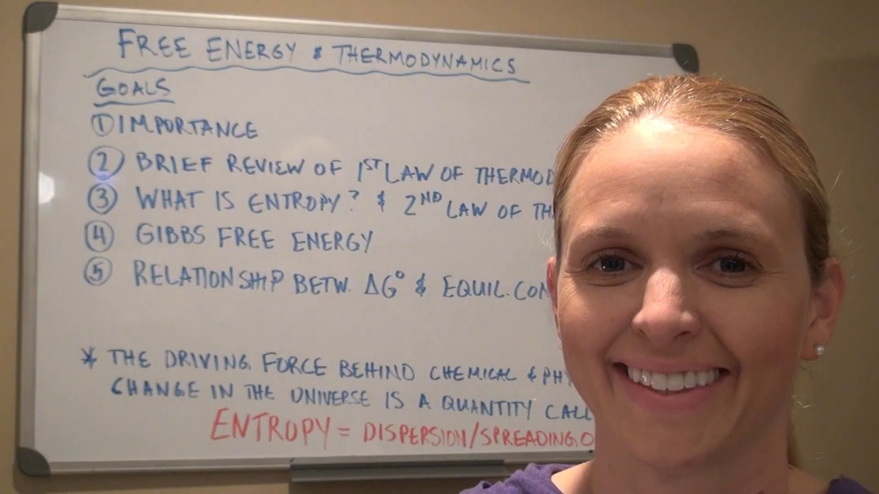 Free Energy & Thermodynamics - Lecture 1 - YouTube