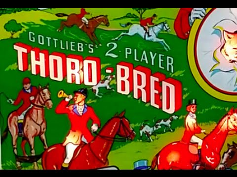 1965 Gottlieb THORO-BRED Pinball machine In Action - YouTube