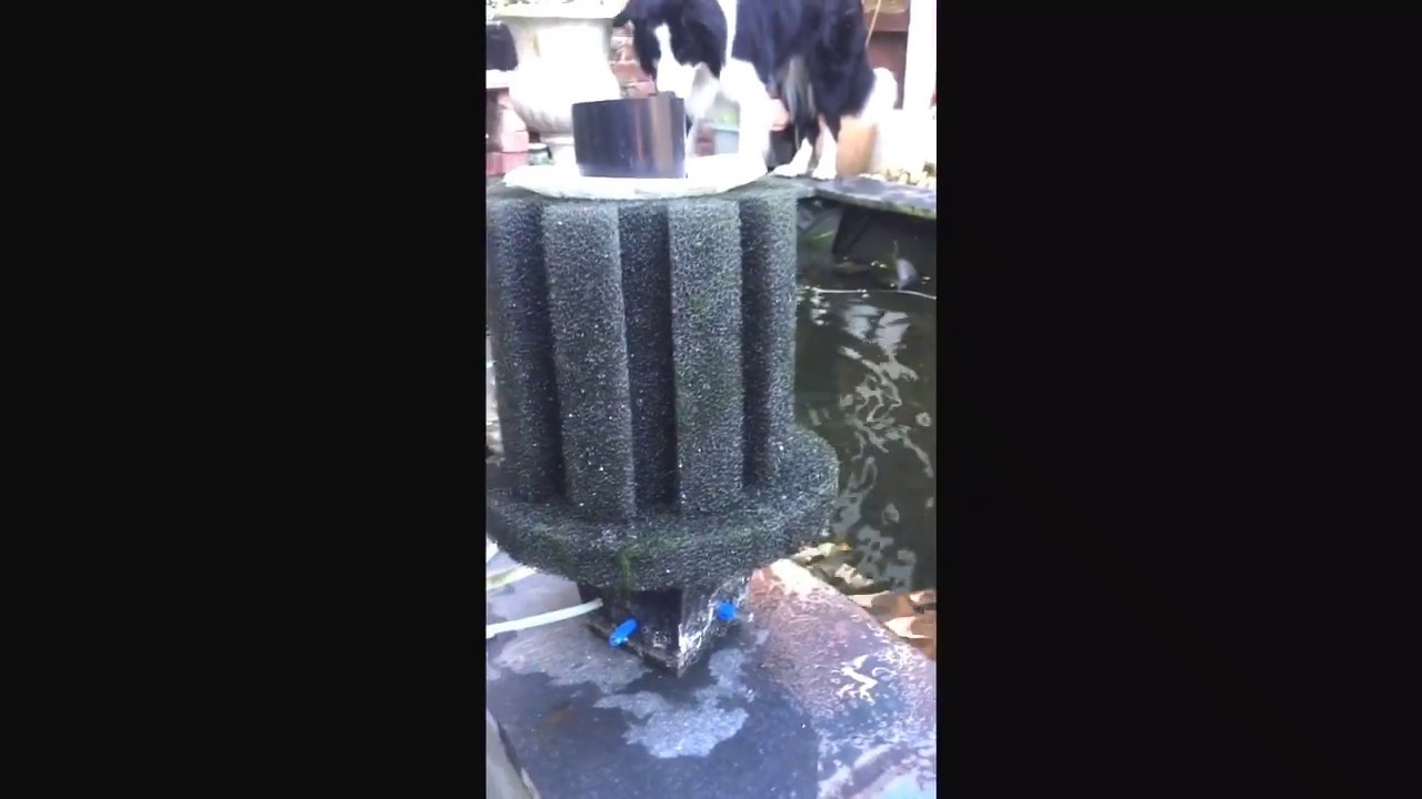 biggest ATI style sponge filter ever - YouTube