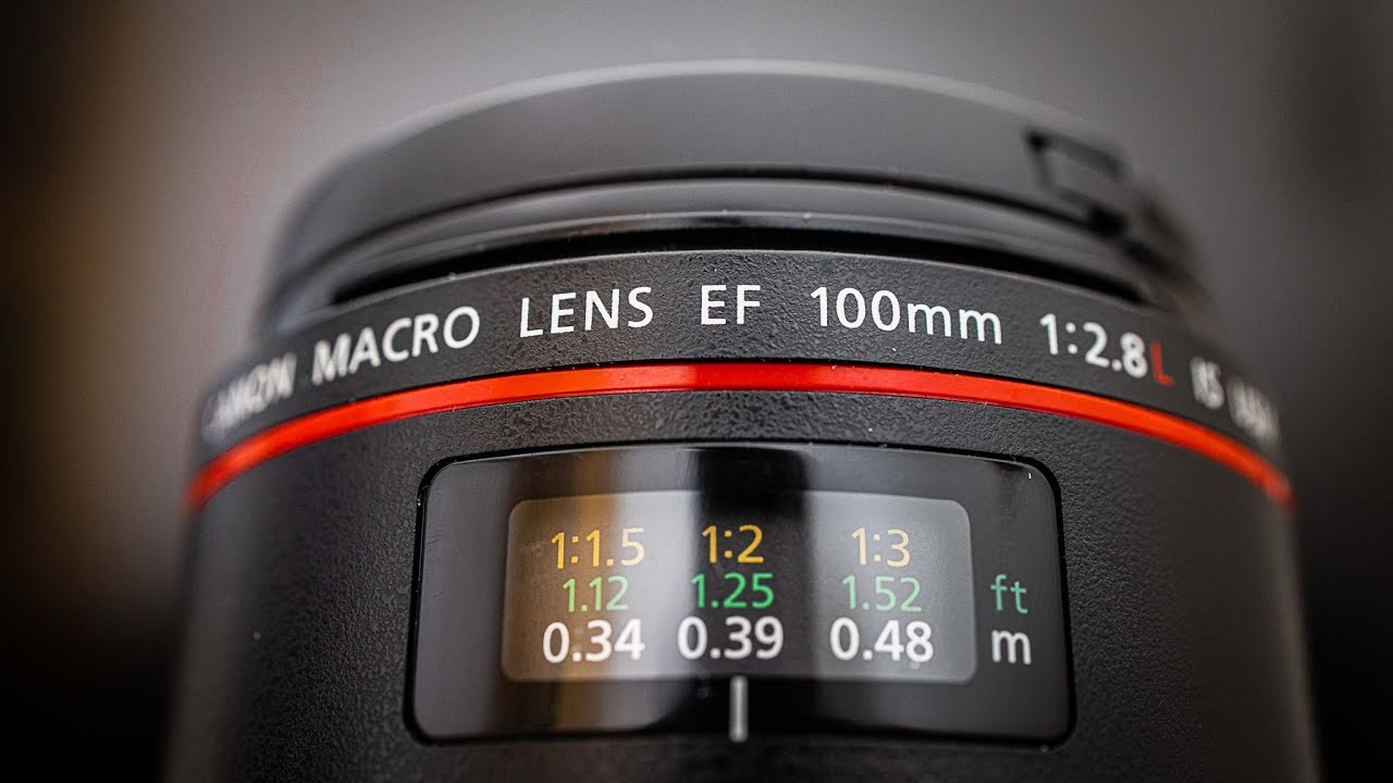 4 EF Lenses Still Worth The Money In 2021 For Your Mirrorless Camera ...