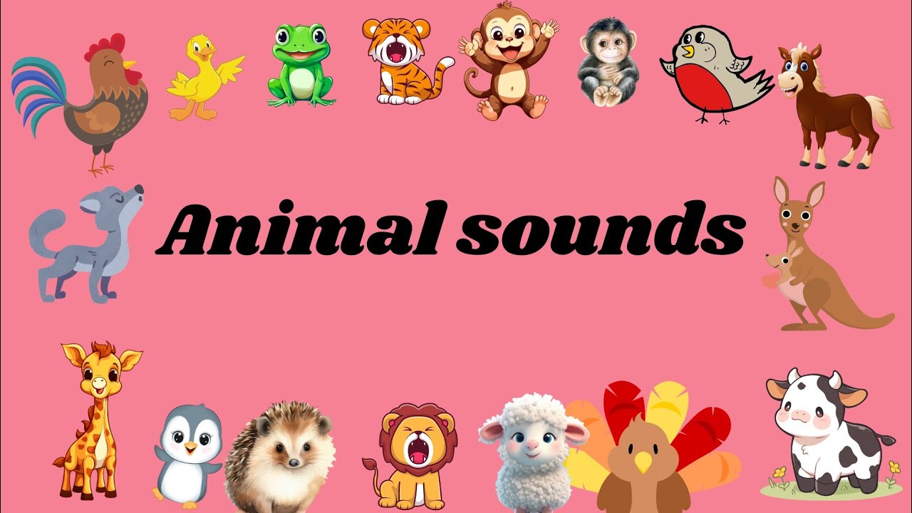 These are The Animal Sounds song | Animal Sounds for Babies | Different ...