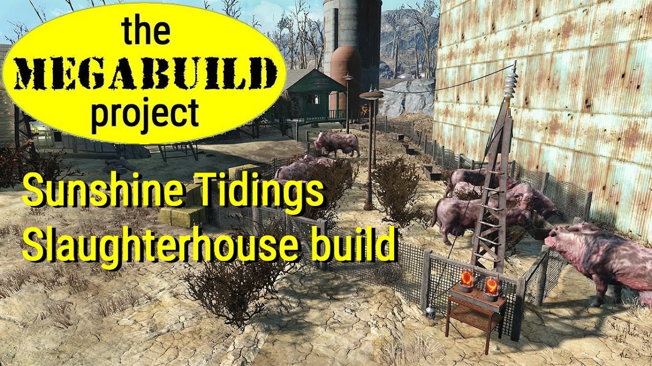 The Megabuild Project - 09 - Building Sunshine Meat Processing - YouTube
